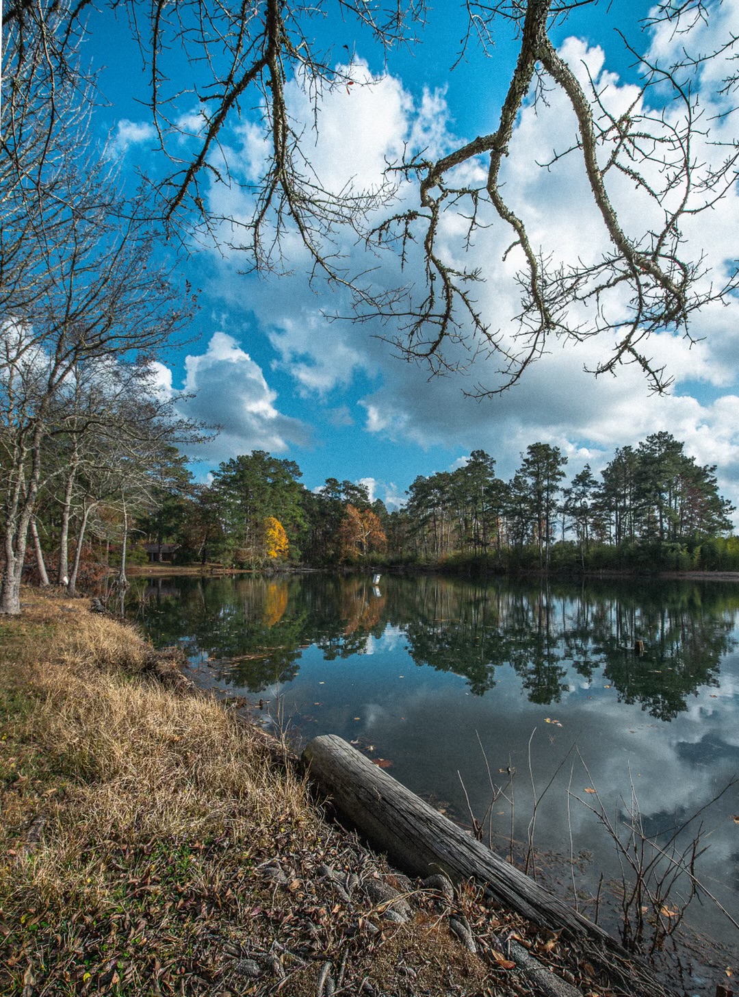 SHADY LAKE RV PARK I